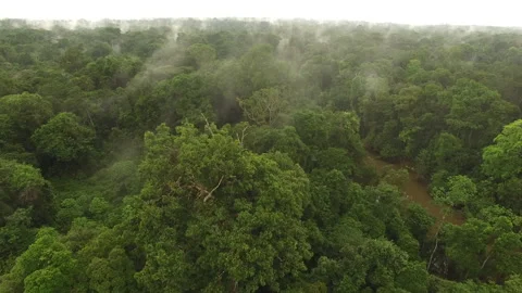 Indigenous Stock Footage ~ Royalty Free Stock Videos | Pond5