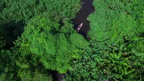 Amazon river crossed by boat with native... | Stock Video | Pond5