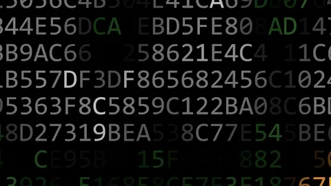 Amazon Company Stock Footage ~ Royalty Free Stock Videos | Pond5