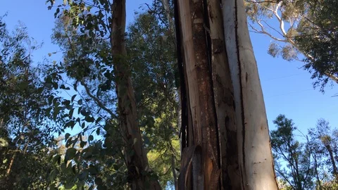 Noise Edge Stock Videos – Royalty-Free HD & 4K Videos