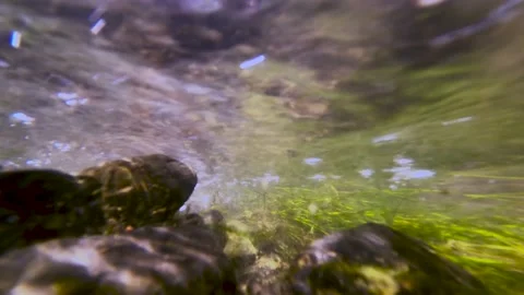 Ambleve river filmed underwater with sto... | Stock Video | Pond5