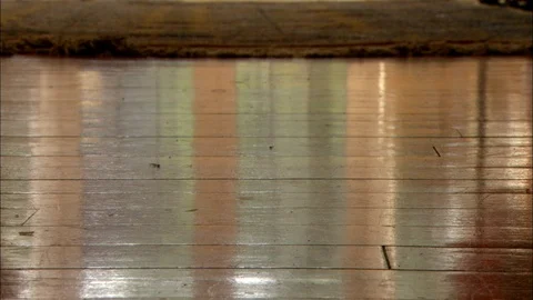 American Cockroach running across wooden... | Stock Video | Pond5