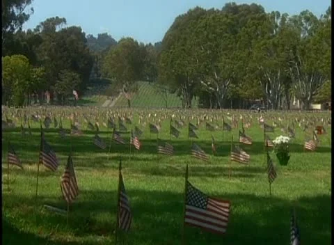 Smile Cemetery Stock Videos – Royalty-Free HD & 4K Videos | Pond5