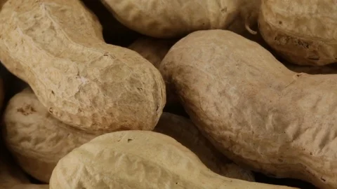 Peanuts Stock Footage ~ Royalty Free Stock Videos | Pond5