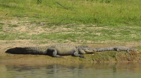 Native American Nature Stock Video Footage | Royalty Free Native ...