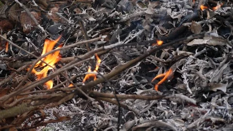 Amidst the ashes a flame flickers in the... | Stock Video | Pond5