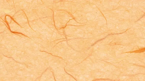 Amination Stock Video Footage | Royalty Free Amination Videos | Pond5