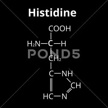 Amino acid Histidine. Chemical molecular formula Histidine amino acid ...