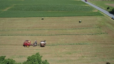 Amish Farmer Harvesting His Crop with 4 ... | Stock Video | Pond5