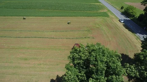 Amish Farmer Harvesting His Crop with 4 ... | Stock Video | Pond5
