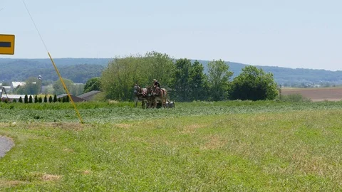 Amish Farmer Harvesting His Crop with 4 ... | Stock Video | Pond5