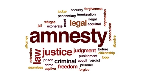 Amnesty animated word cloud. Kinetic typ... | Stock Video | Pond5