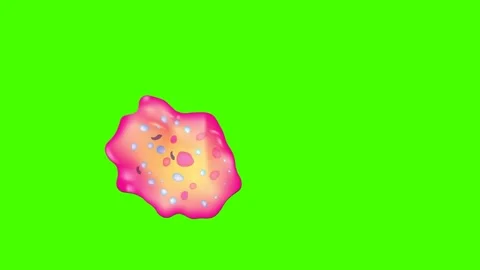 amoeba moving animation in editable gree... | Stock Video | Pond5