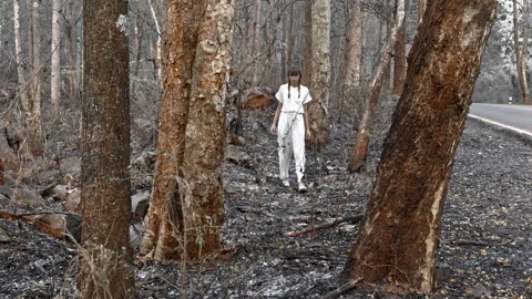 Amongst Woman Stock Videos – Royalty-Free HD & 4K Videos | Pond5