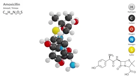 Mav1S 3D Model Stock Videos – Royalty-Free HD & 4K Videos | Pond5