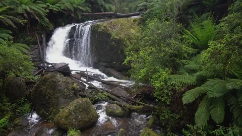 Amphitheatre falls on the Toorongo river... | Stock Video | Pond5