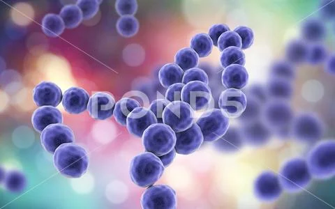 Anaerobic Gram-positive bacteria Peptostreptococcus: Graphic #84939733