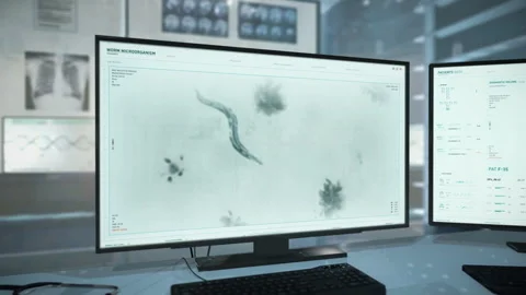 Analysis of the genetic composition of t... | Stock Video | Pond5