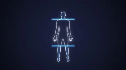 Analysis of Human Male Anatomy Scan on F... | Stock Video | Pond5