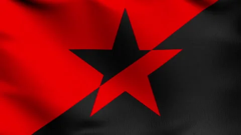 Anarchy flag with star blowing in the wi... | Stock Video | Pond5