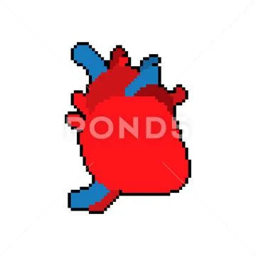 Anatomical heart pixel art. 8 bit Internal organ vector illustration ...