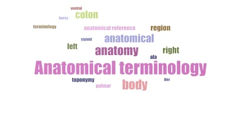 Anatomical Terminology Word Cloud Animat... | Stock Video | Pond5