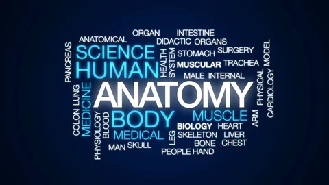 Anatomy animated word cloud, text design... | Stock Video | Pond5