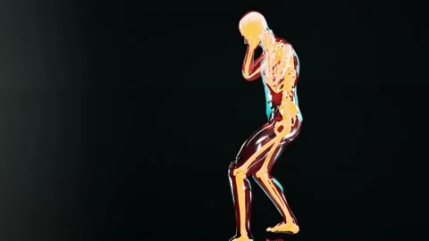 anatomy animation of male boxer, Boxing... | Stock Video | Pond5
