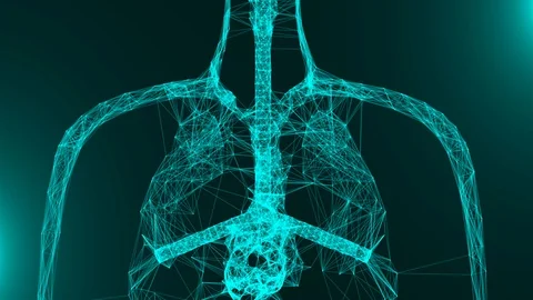 Dotted Body Stock Video Footage | Royalty Free Dotted Body Videos | Pond5