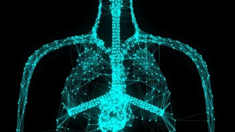 Anatomy human body model with connection... | Stock Video | Pond5