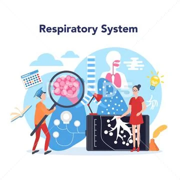Anatomy school subject. Internal human organ studying. Anatomy: Royalty ...