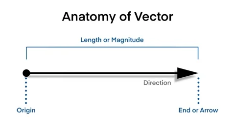 Anatomy of a Vector, Origin, Length or M... | Stock Video | Pond5