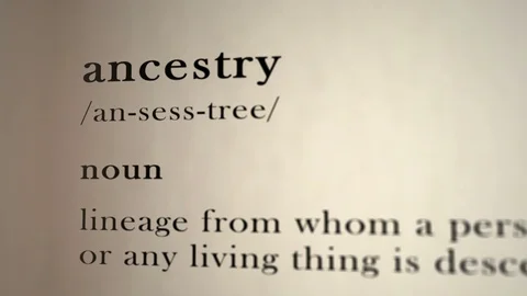 Ancestry Stock Video Footage | Royalty Free Ancestry Videos | Pond5