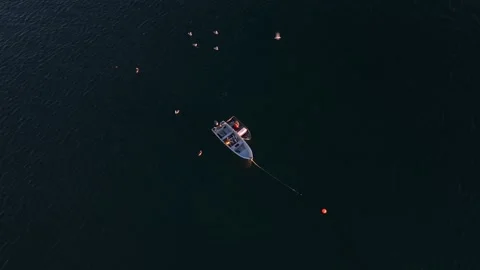 Boat Transfers In Stock Videos – Royalty-Free HD & 4K Videos | Pond5