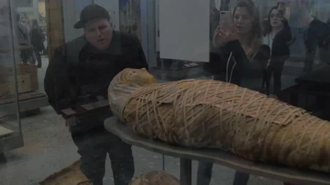 Ancient Egyptian Mummies On Display In T... | Stock Video | Pond5