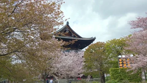 Toji Stock Footage ~ Royalty Free Stock Videos | Pond5