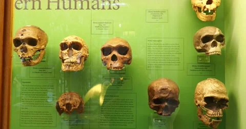 Ancient University Stock Footage ~ Royalty Free Stock Videos | Pond5