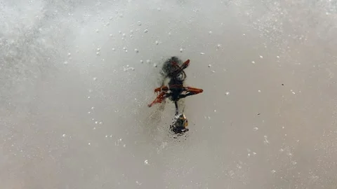 An ancient insect is thawed from ice. In... | Stock Video | Pond5