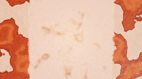 ancient map texture Searching for treasu... | Stock Video | Pond5