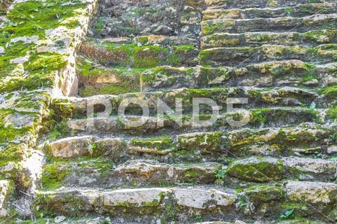 Photograph: Ancient Mayan site texture temple ruins pyramids artifacts ...