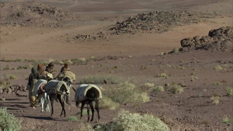 Ancient Caravan Stock Footage ~ Royalty Free Stock Videos | Pond5