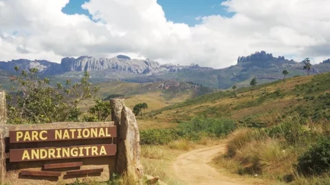 High Park Pic Stock Videos – Royalty-Free HD & 4K Videos