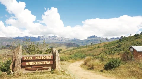 High Park Pic Stock Videos – Royalty-Free HD & 4K Videos