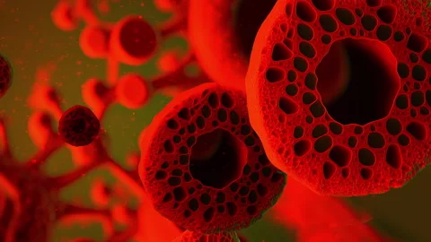 Anemia under microscope view - animation | Stock Video | Pond5