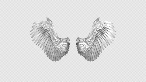 Angel wings - 3d render looped with alph... | Stock Video | Pond5