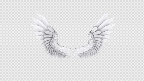 Angelking Stock Videos – Royalty-Free HD & 4K Videos | Pond5