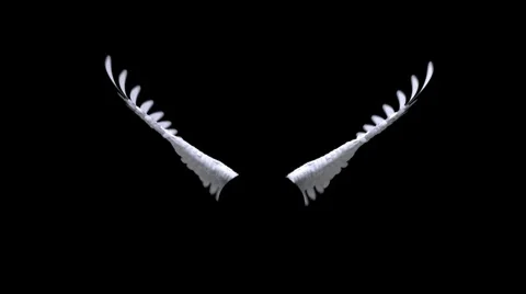 Angelking Stock Videos – Royalty-Free HD & 4K Videos | Pond5