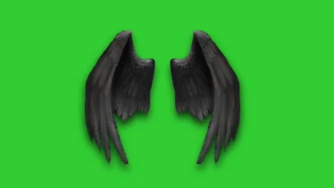 Angel wings green screen, devil wings fl... | Stock Video | Pond5