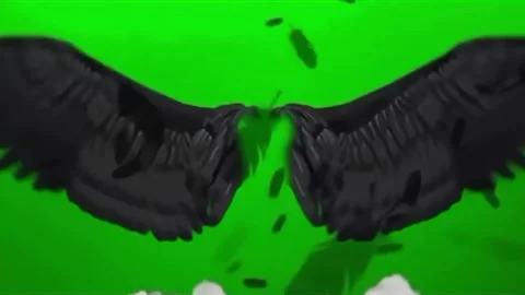 Angel Greenscreen Stock Video Footage | Royalty Free Angel Greenscreen ...