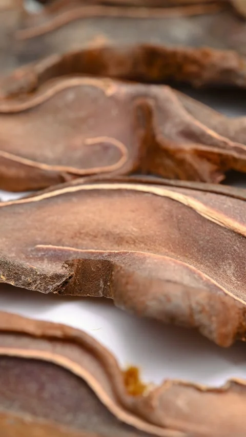 angle view herb GouJi or Cibotii Rhizoma... | Stock Video | Pond5